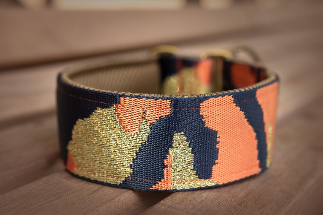 Military-look Modern Dog Collar Extra Wide 4/5 Cm, Soft Padding, Robust ...