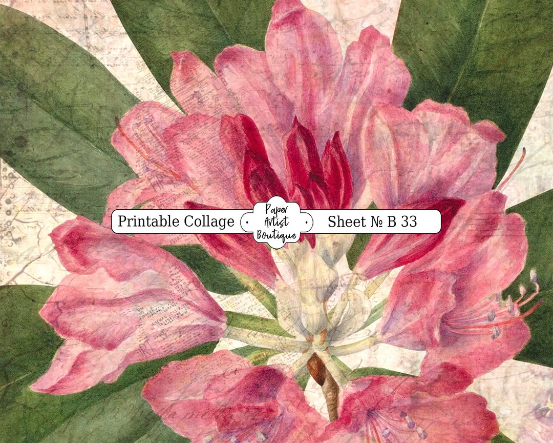 Botanical Collage Sheet Printable Number B33 for Junk Journals ...