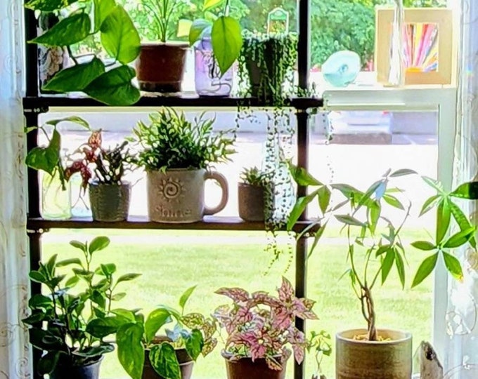 Window Plant Shelves ~ Removable and Adjustable. No Drilling Required ...