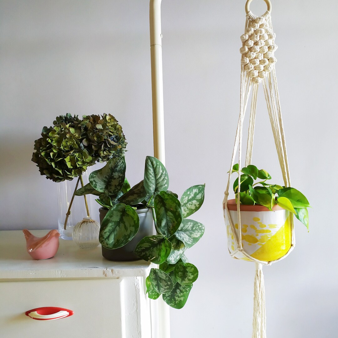 Macrame Plant Hanger, Wall Planter, Vintage Boho Rustic Home Décor ...