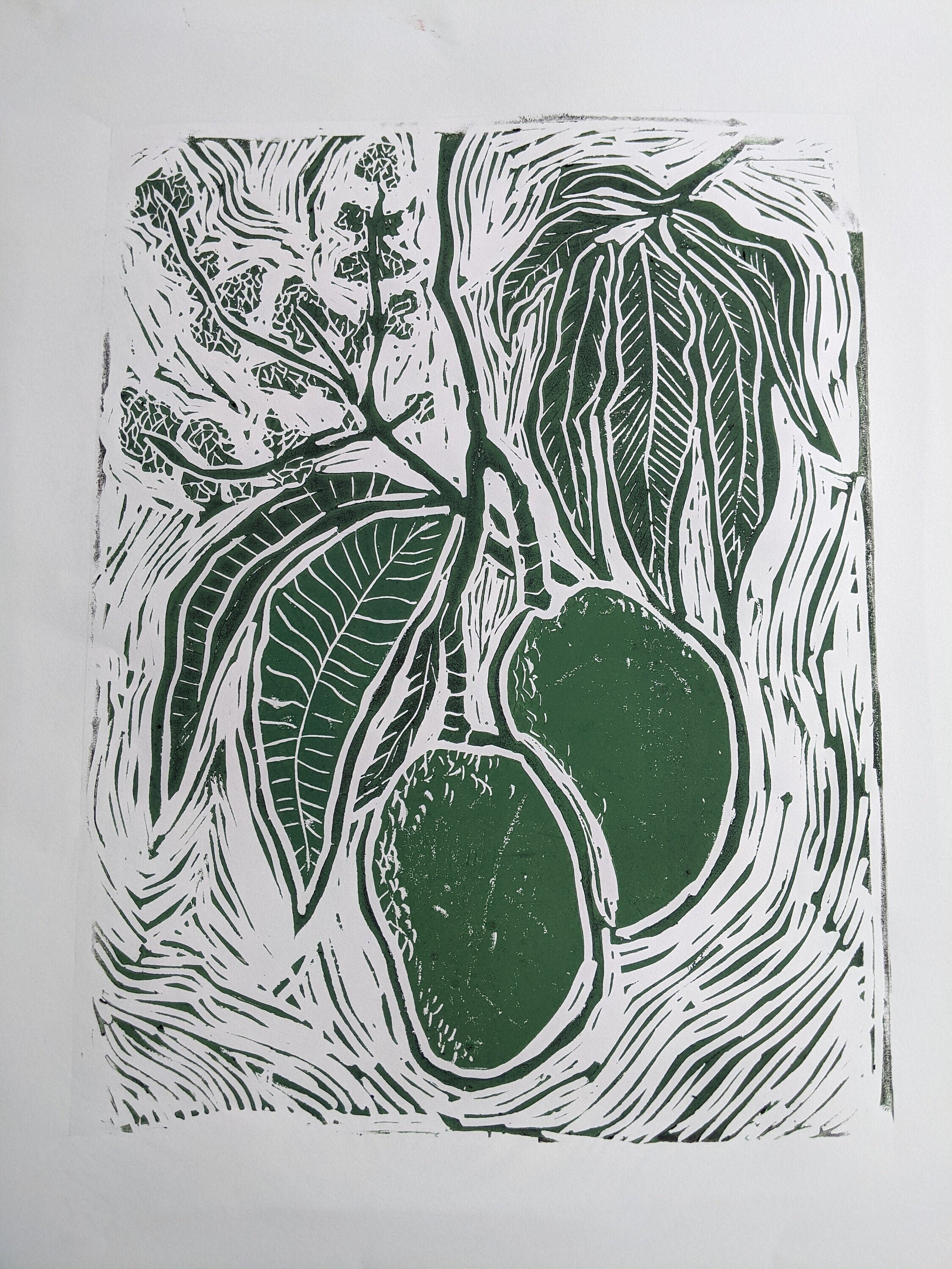 Mango Block Print limited Edition of 150 Prints - Etsy