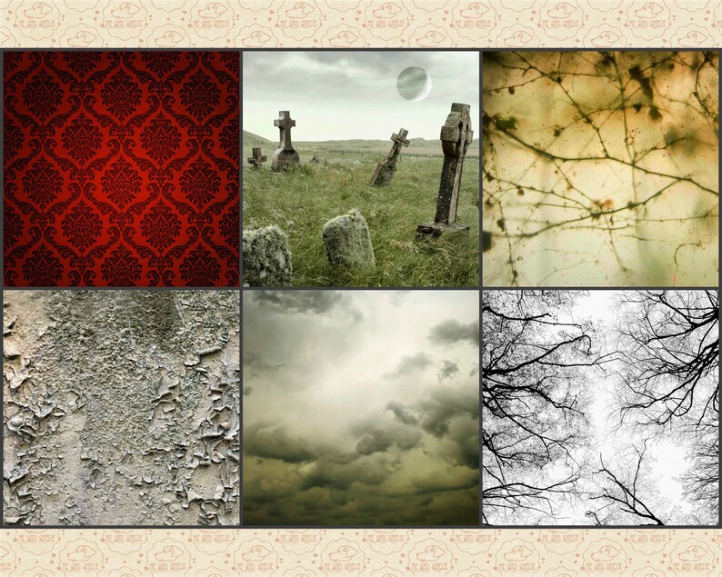 Creepy Halloween Digital Paper Pack, Blood, Cobweb, Graveyard, Spores ...