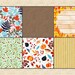 Autumn Variety Mega Bundle Digital Paper Pack Fall Scenery - Etsy