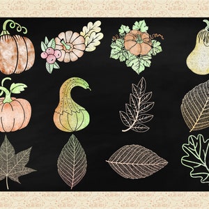 Autumn Chalk Elements Clip Art, Farmhouse Fall Graphics (PNG) - Etsy
