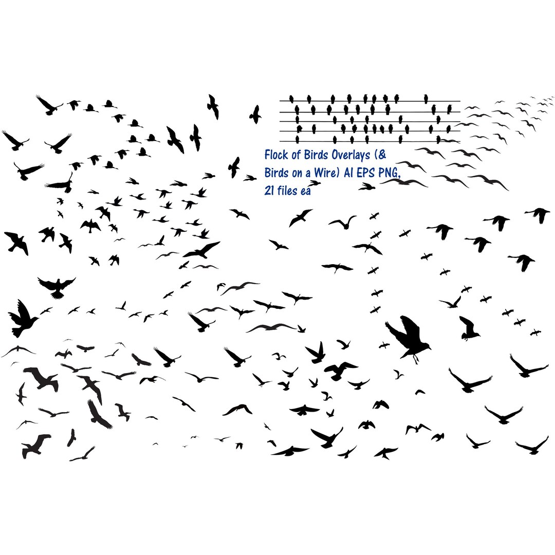 Flock of Birds Overlay Silhouettes AI EPS (vector) & PNG, Bird ...