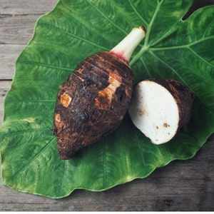 Taro Milk Tea Candle Fragrance Oil - Etsy