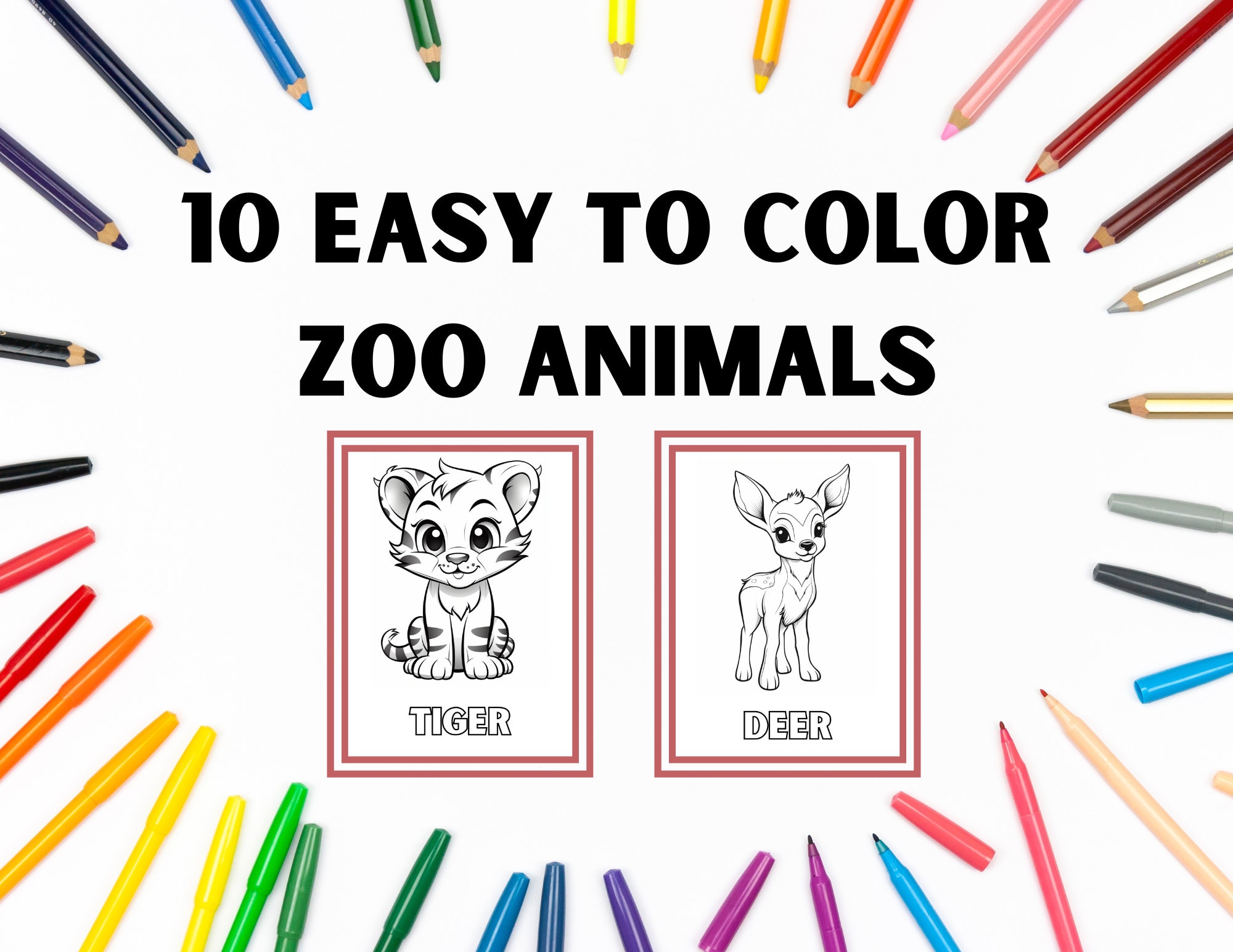 Easy To Draw Zoo