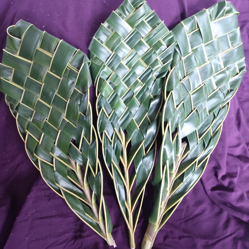 Palm Leaf Hand Fans - Etsy