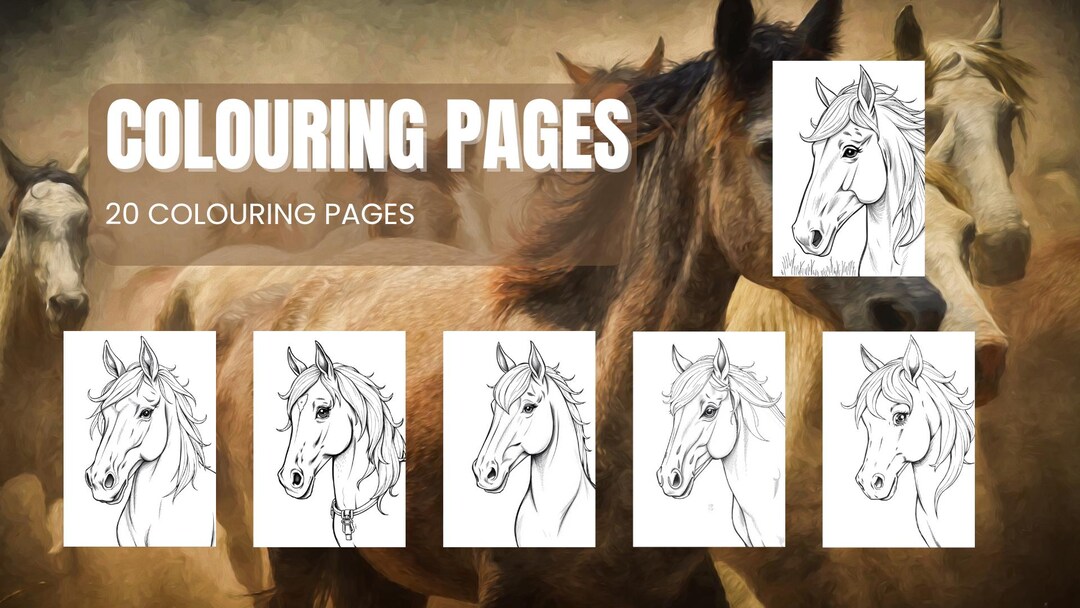 20 Printable Horse Coloring Pages - Equestrian Fun for Everyone - Etsy