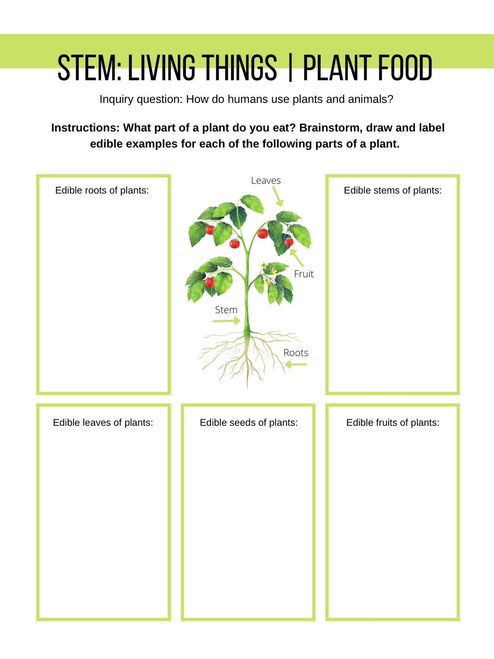 Elementary STEM Learning for Plants - Etsy