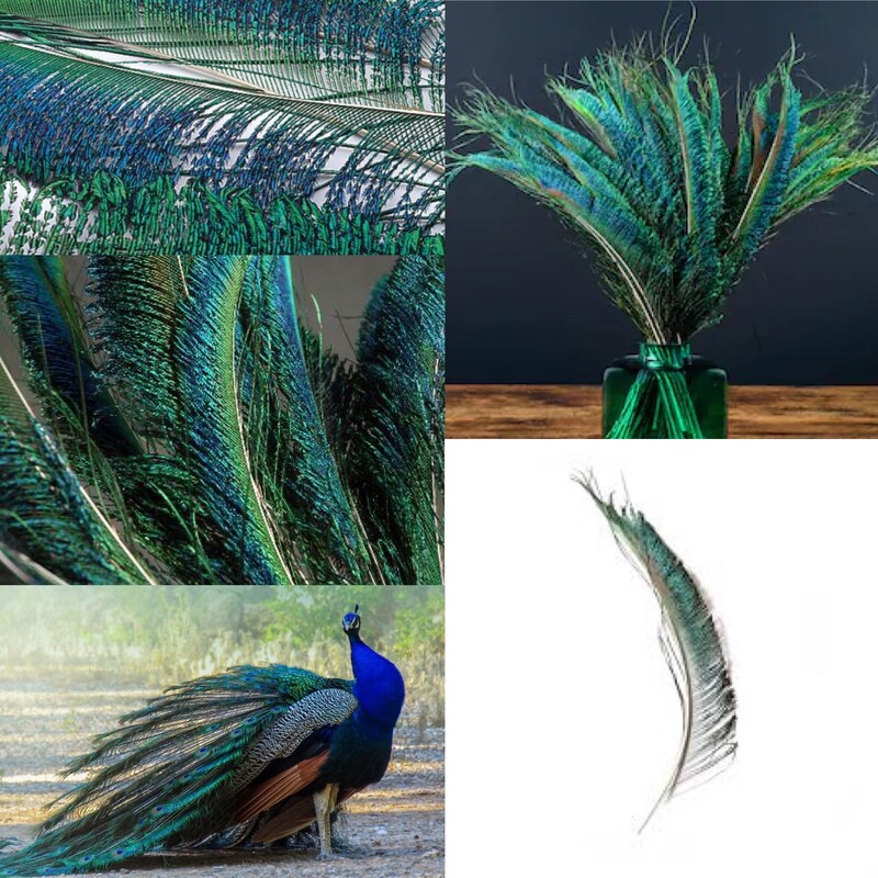 Feather Stole - Etsy