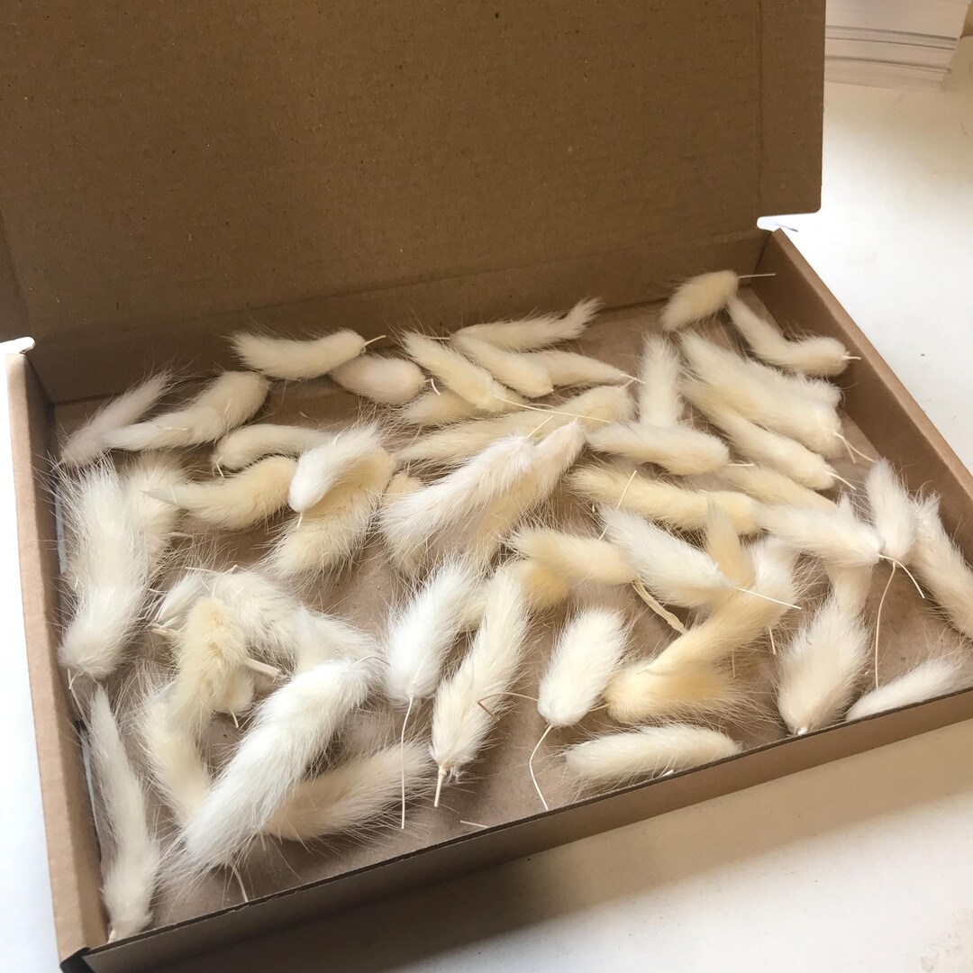 50 Bunny Tail Heads: Whites - Craft Box for DIY Projects, Floral ...
