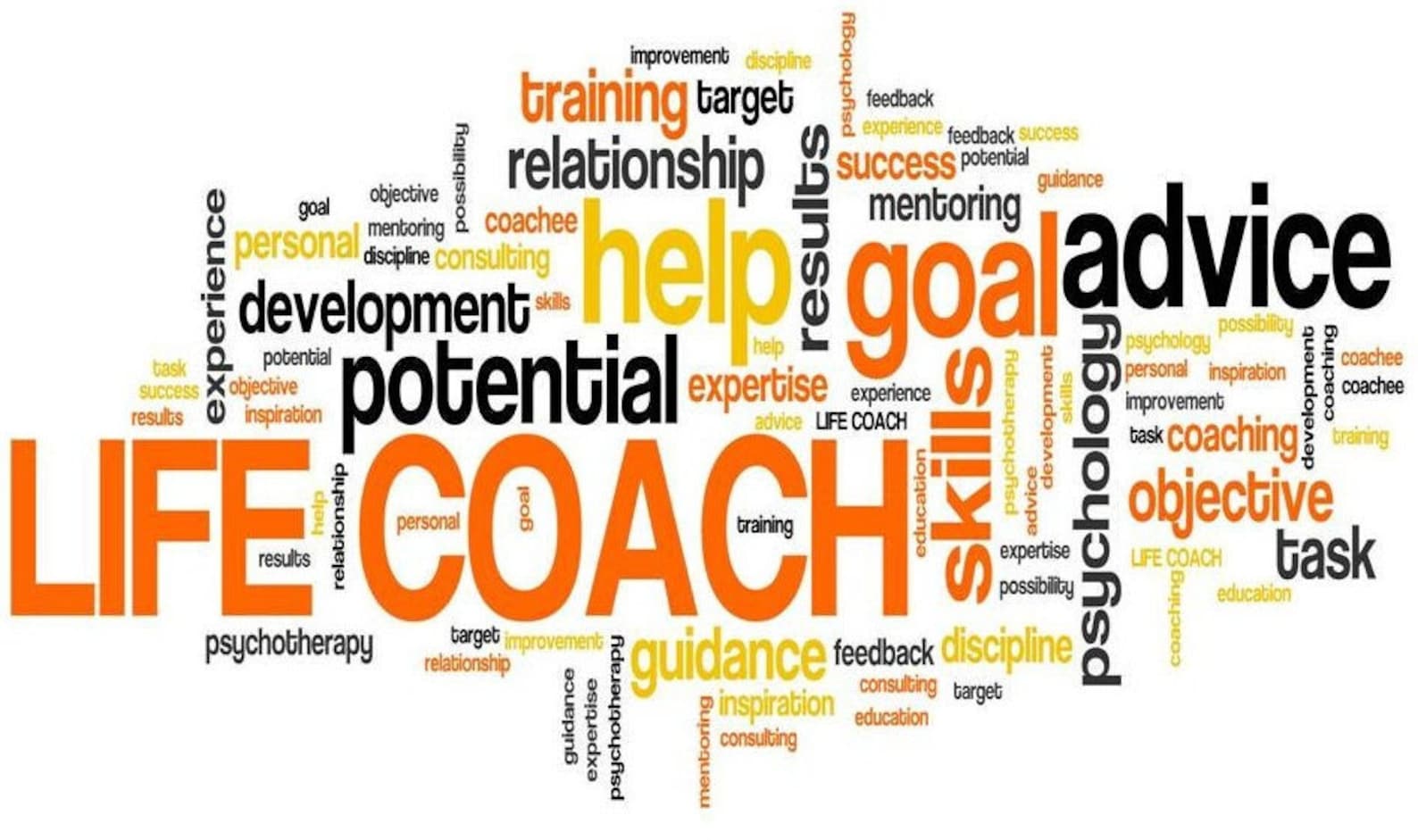 Life Coach Coaching Training Resources for Management Development or ...