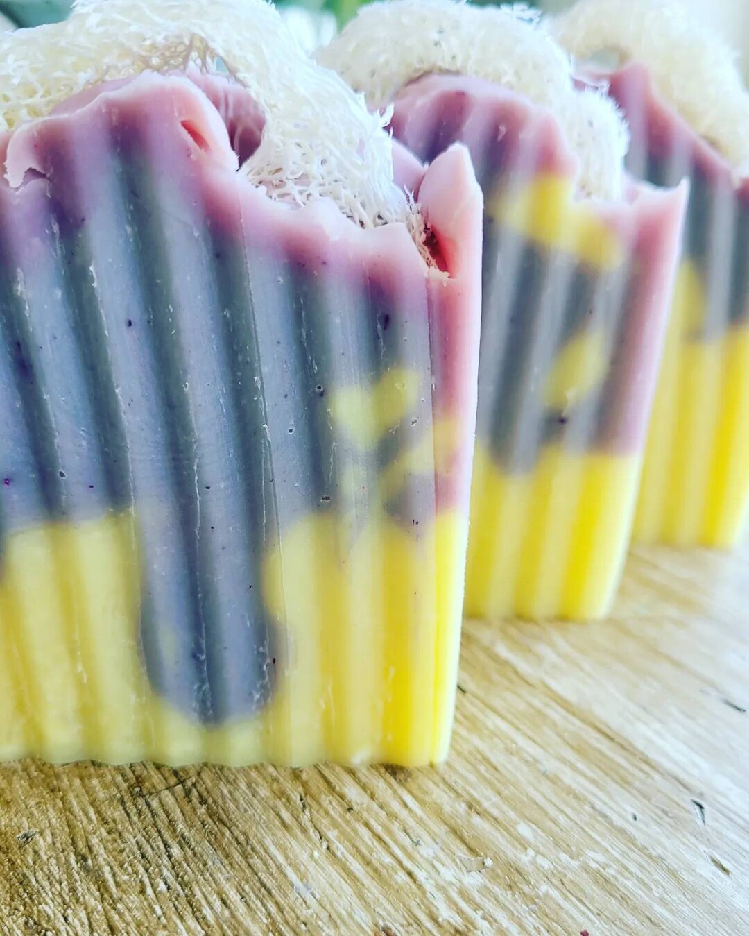 Lavender Lemon Louffa Bar Soap - Etsy