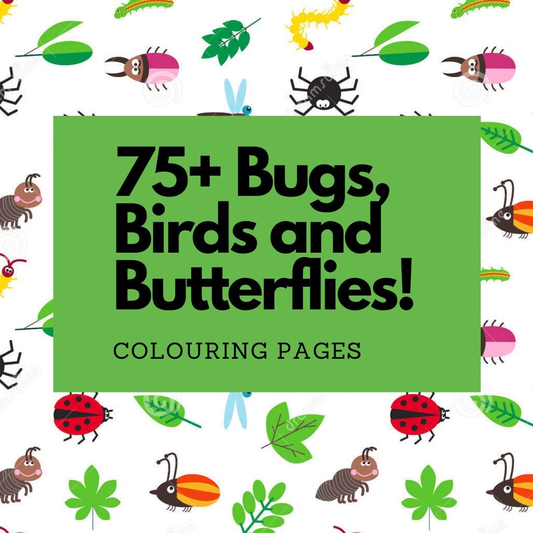 NEW! 75+ Printable Bugs, Birds and Butterflies Colouring Pages for Kids ...