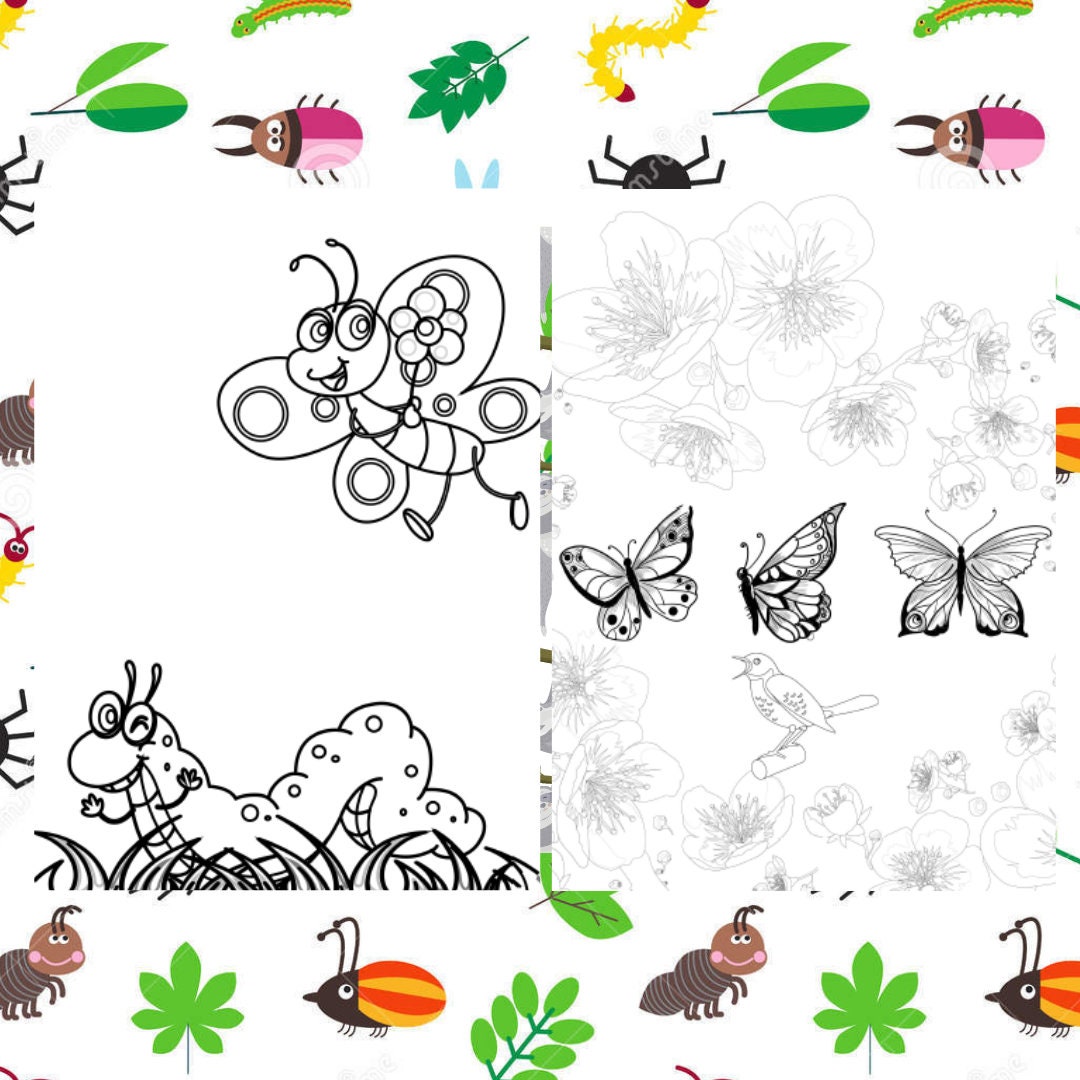 NEW! 75+ Printable Bugs, Birds and Butterflies Colouring Pages for Kids ...