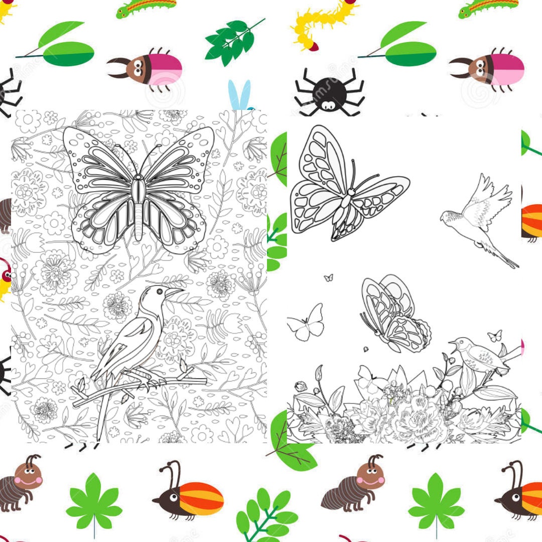 NEW! 75+ Printable Bugs, Birds and Butterflies Colouring Pages for Kids ...