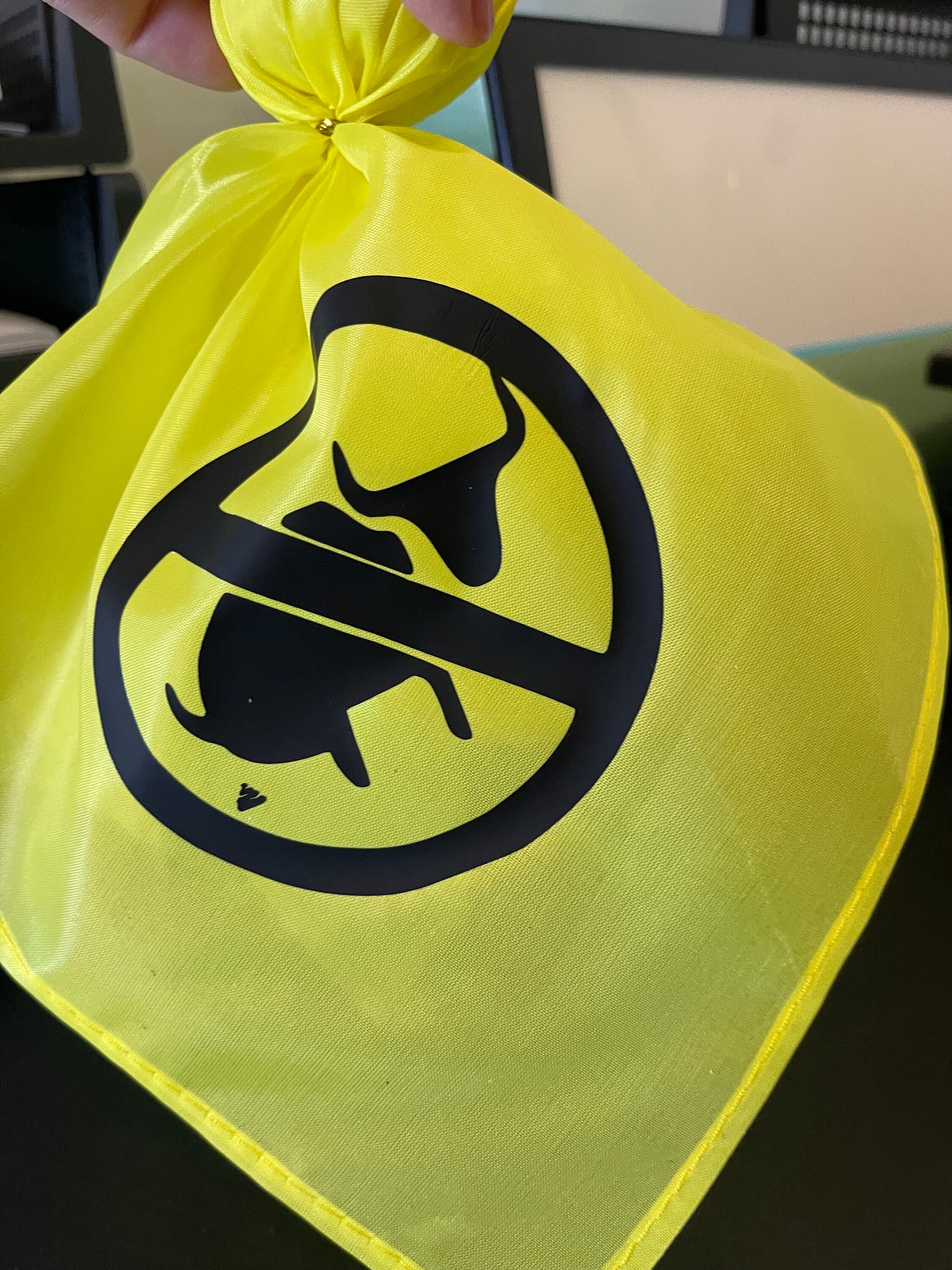 No BS Penalty Flag SVG, PNG, Football, Work, Joke, Funny, Soccer, Gag ...