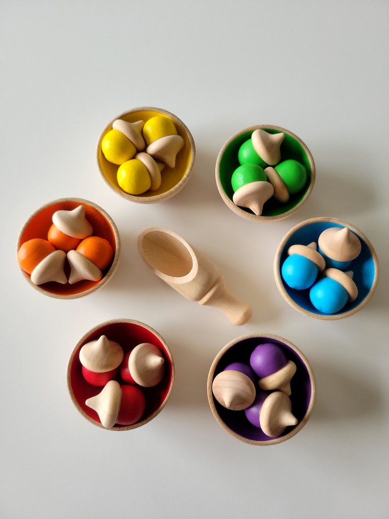 Color Sorting Acorn Set. Montessori Toy Rainbow Colors. Learning Toy ...