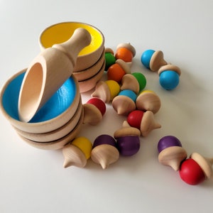 Acorn Sorting Set With Scoop. Montessori Toy Rainbow Colors. Learning ...