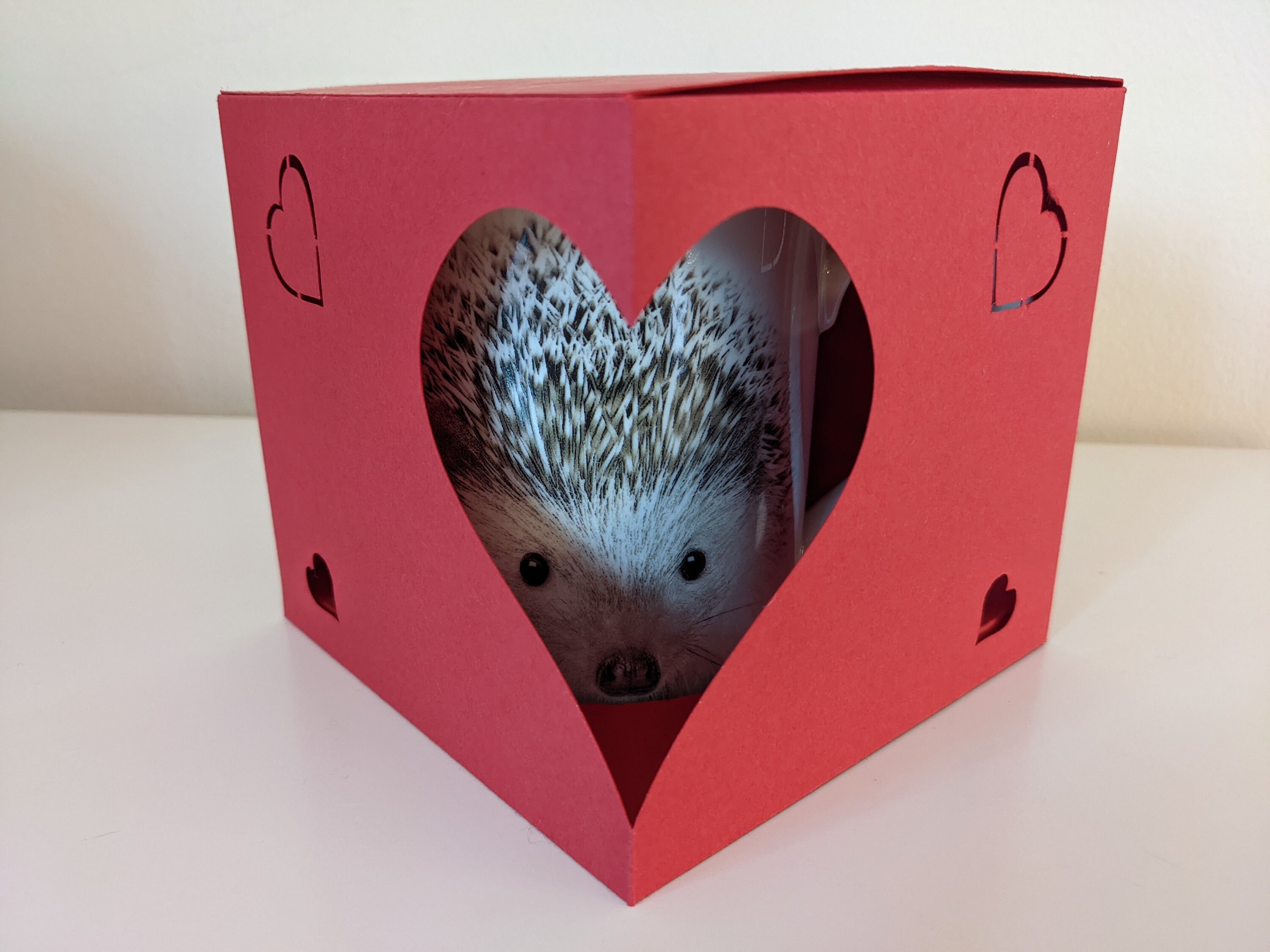 SVG Files for This Mug Presentation Box | Etsy