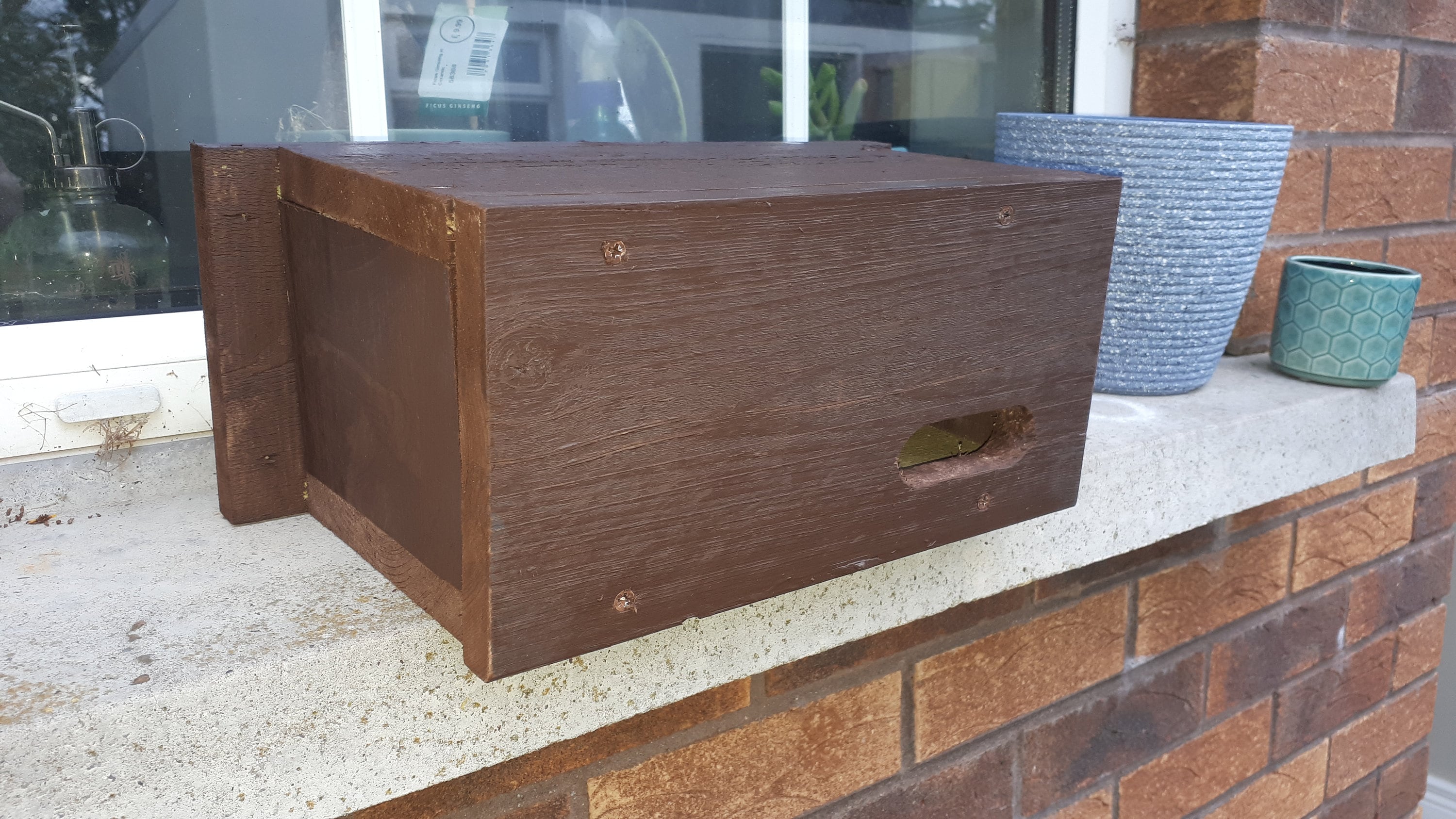 Swallow or Swift Nest Boxes - Etsy UK