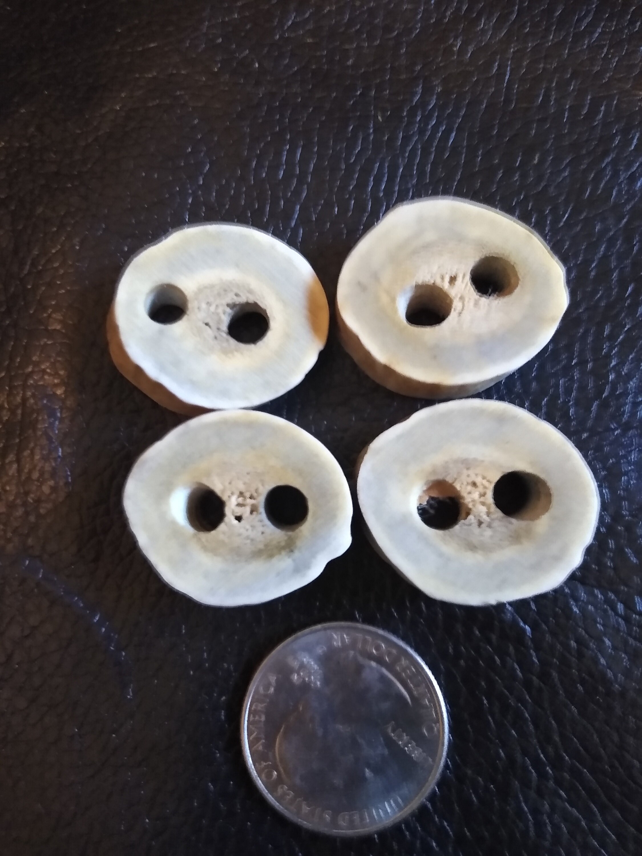 Antler Buttons, Real Whitetail Deer Antler Buttons, Button, Toggle ...