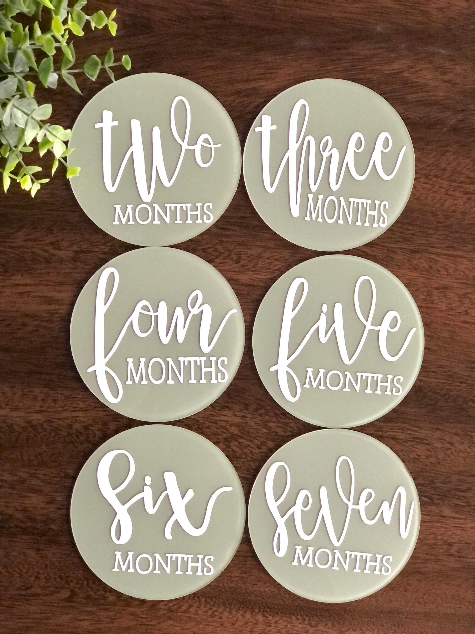 Monthly Milestone Markers Acrylic Milestone Signs Acrylic - Etsy