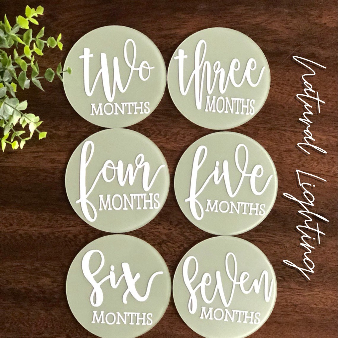 Monthly Milestone Markers Acrylic Milestone Signs Acrylic - Etsy