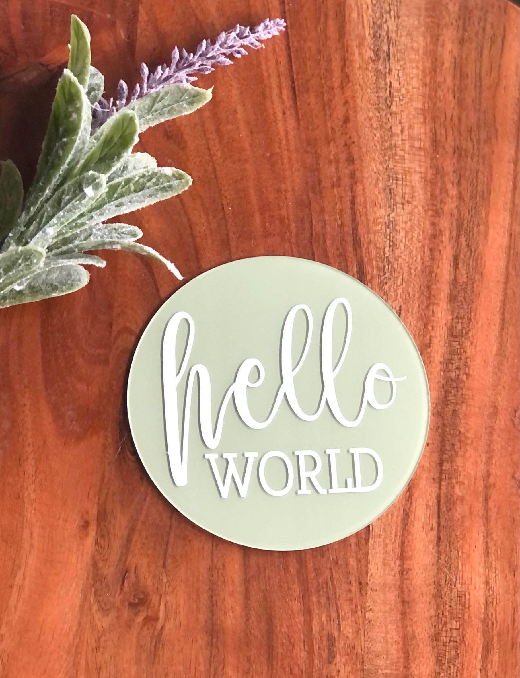 Monthly Milestone Markers, Acrylic Milestone Signs, Acrylic Baby ...