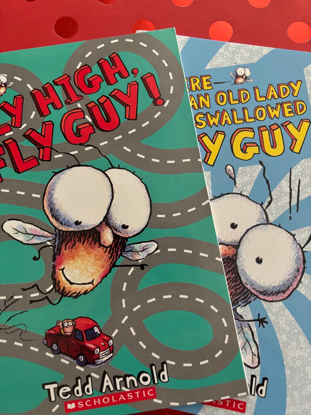 Peekaboo Book / Kids Blind Date With a Book / Kids Book Gift Set / Gift ...