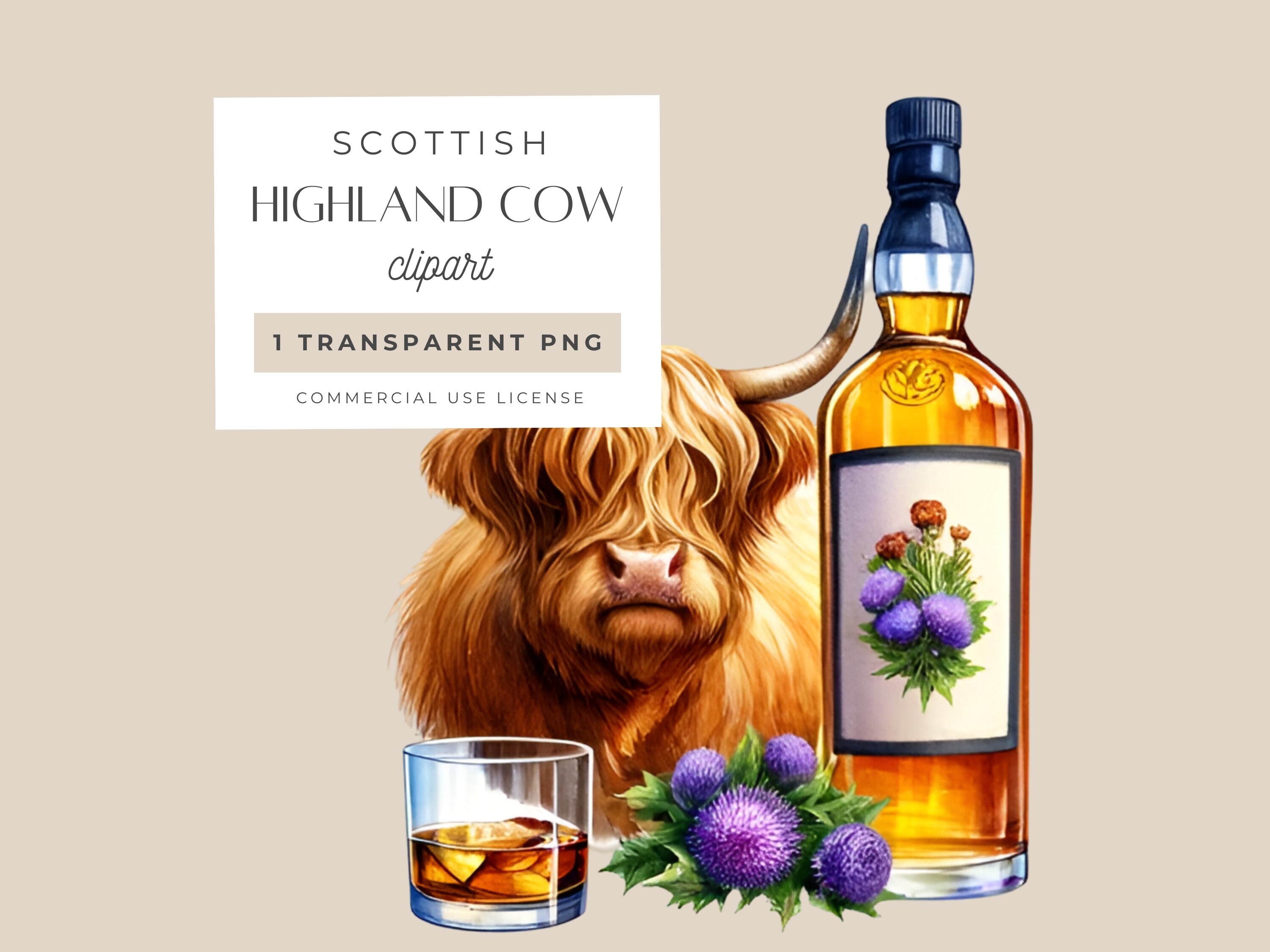 Scottish Highland Cow Clip Art, Whisky Glasses PNG, Scottish Thistle, Bottle of Bourbon, 1 X ...