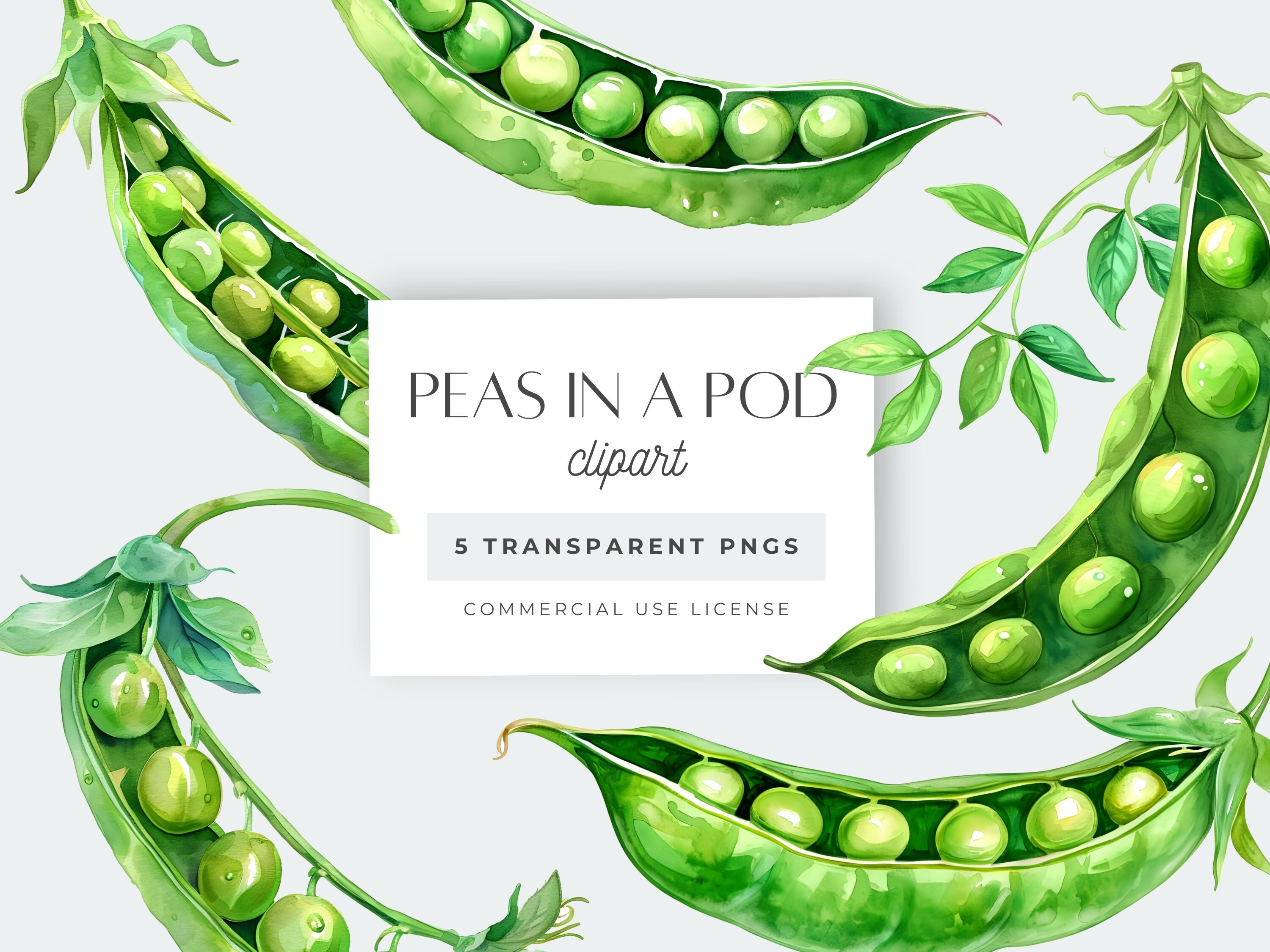 Pea Pod Clipart, Recipe Book Clipart, Pack of 5 Transparent Pngs ...