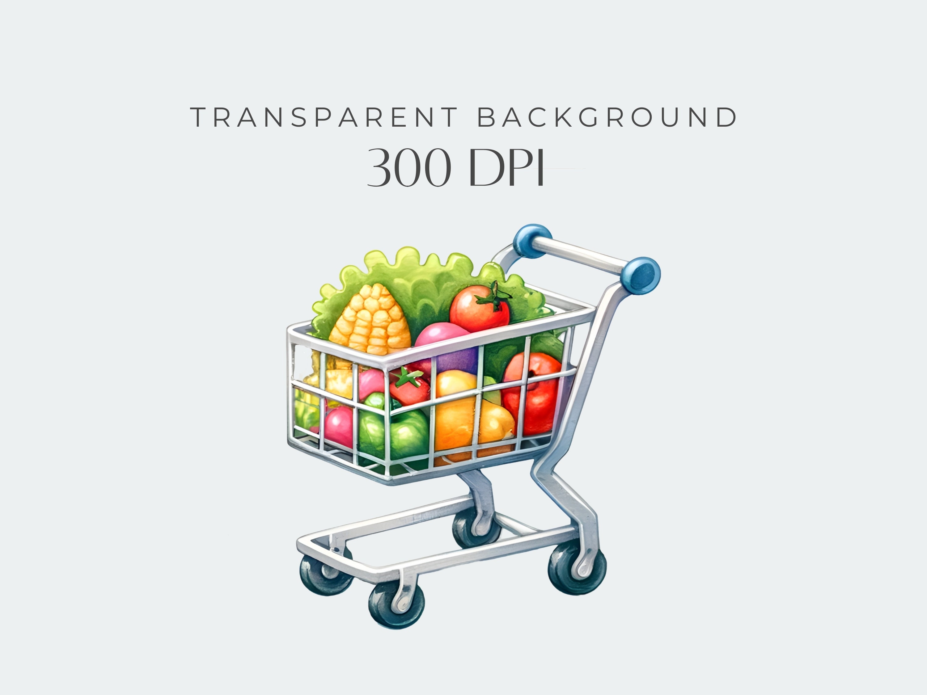 Grocery Shopping Clip Art, Bundle of 12 Transparent Images, Fruit and ...
