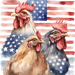 Patriotic Chickens, Independence Day, 4th of July Png, Red White Blue ...