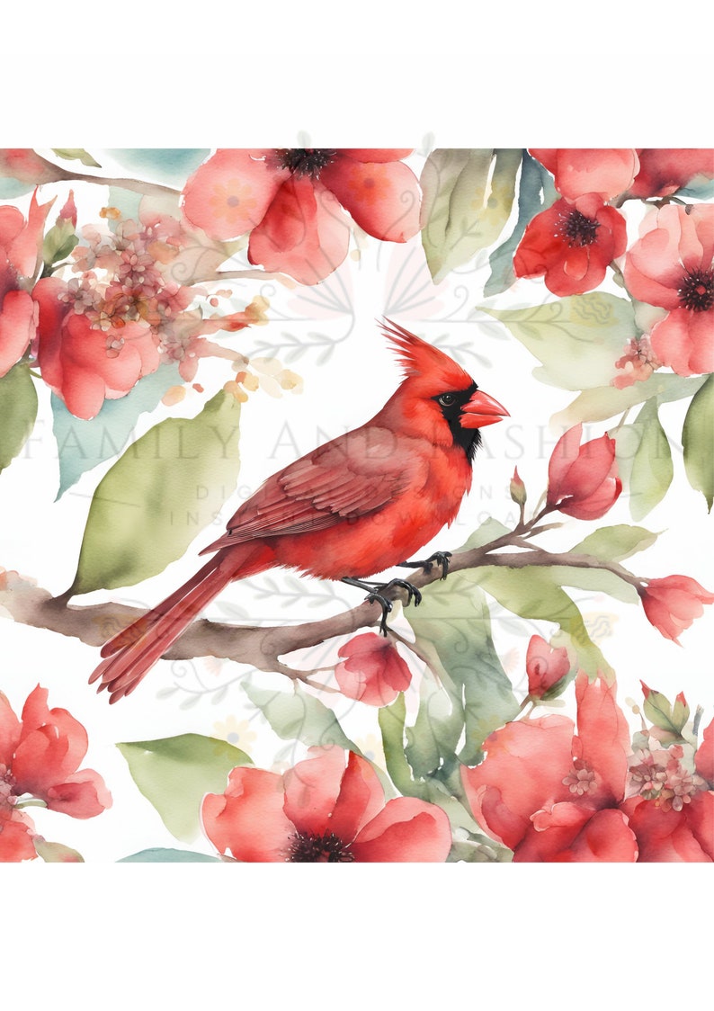 4 Red Cardinals With Flowers Bundle, Watercolor Images, Colorful, Clip ...