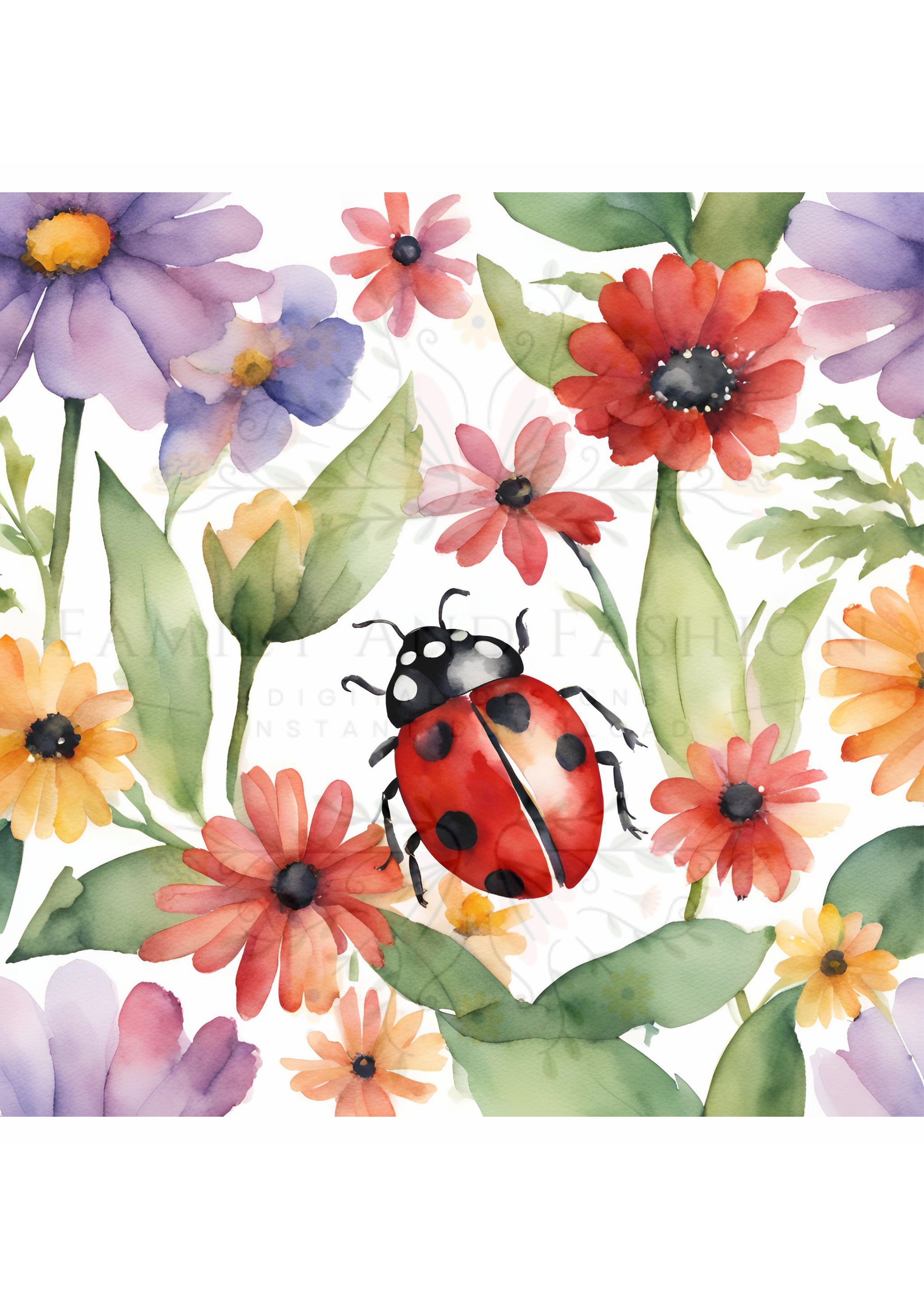 4 Ladybug Watercolor Image Bundle, Watercolor Images, Red Ladybug ...
