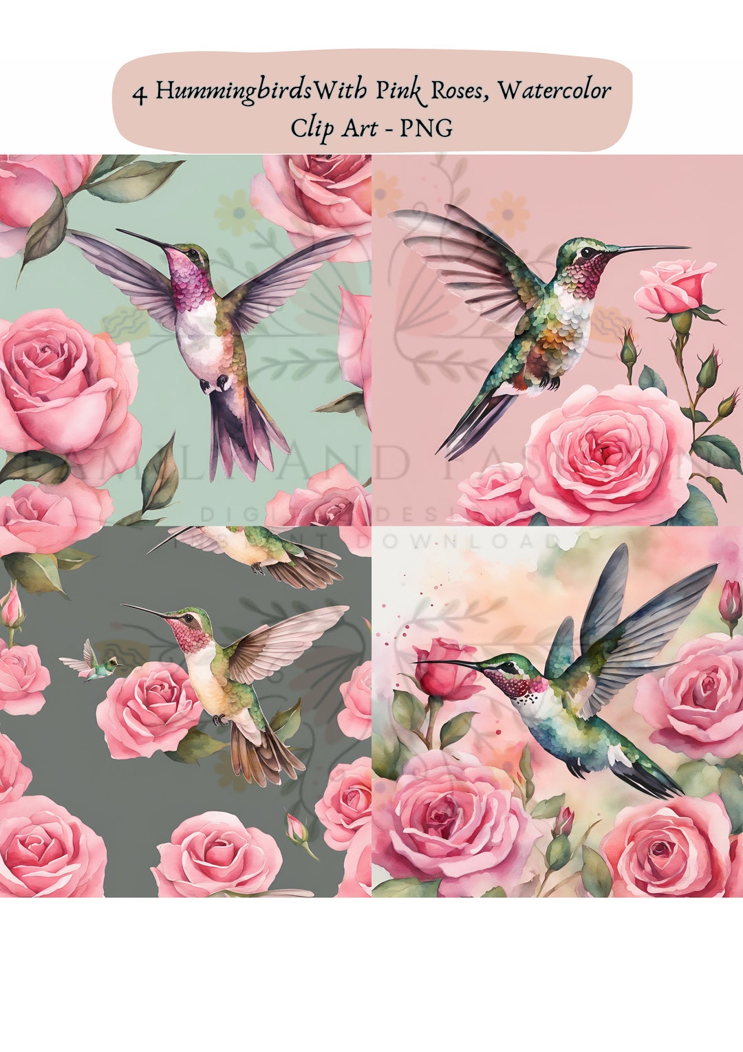 4 Hummingbird With Pink Roses Bundle, Watercolor Images, Colorful ...