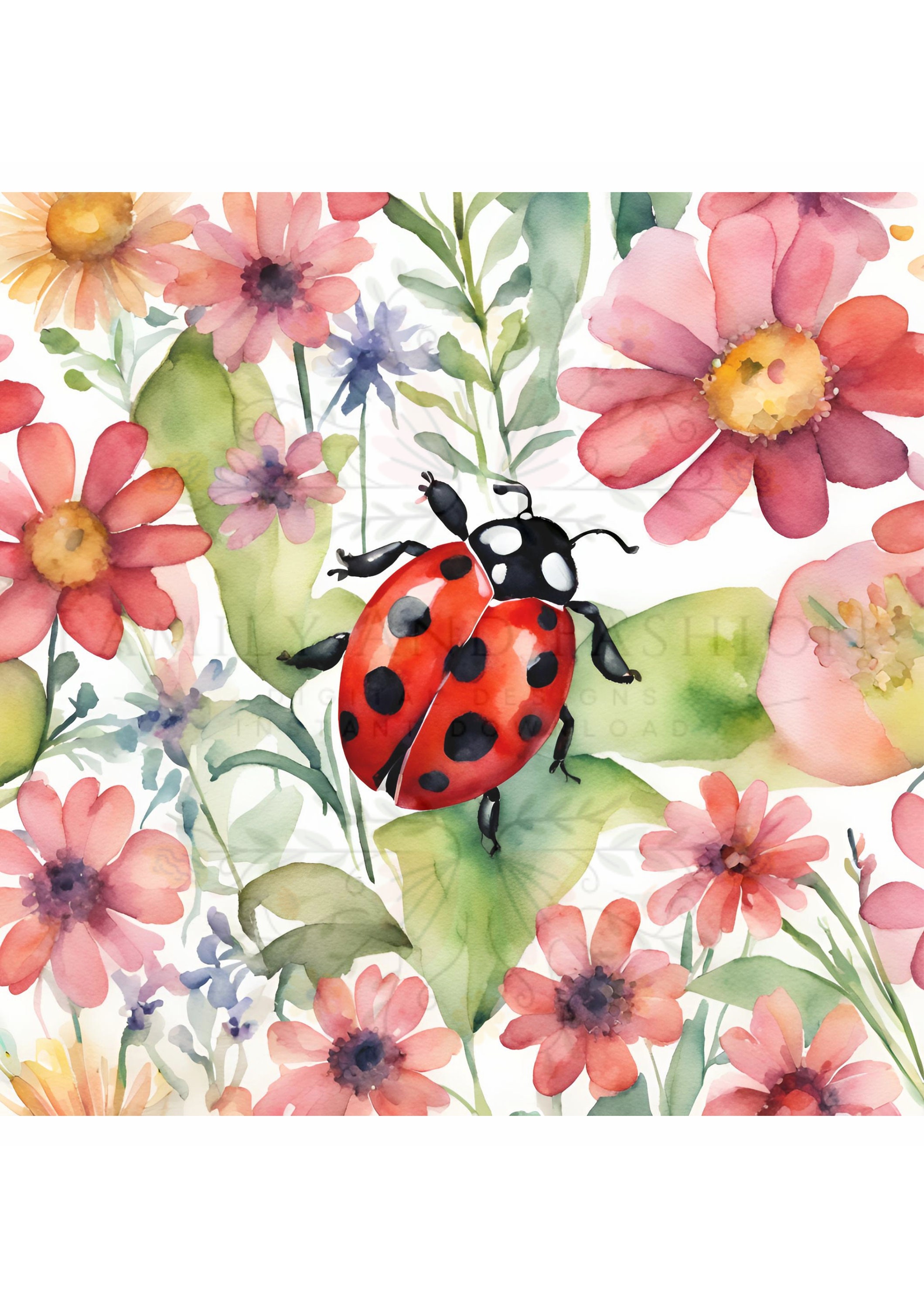 4 Ladybug Watercolor Image Bundle, Watercolor Images, Red Ladybug ...