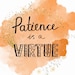 Patience is a Virtue, Gold Glitter, Inspirational Quote, Gift Idea ...