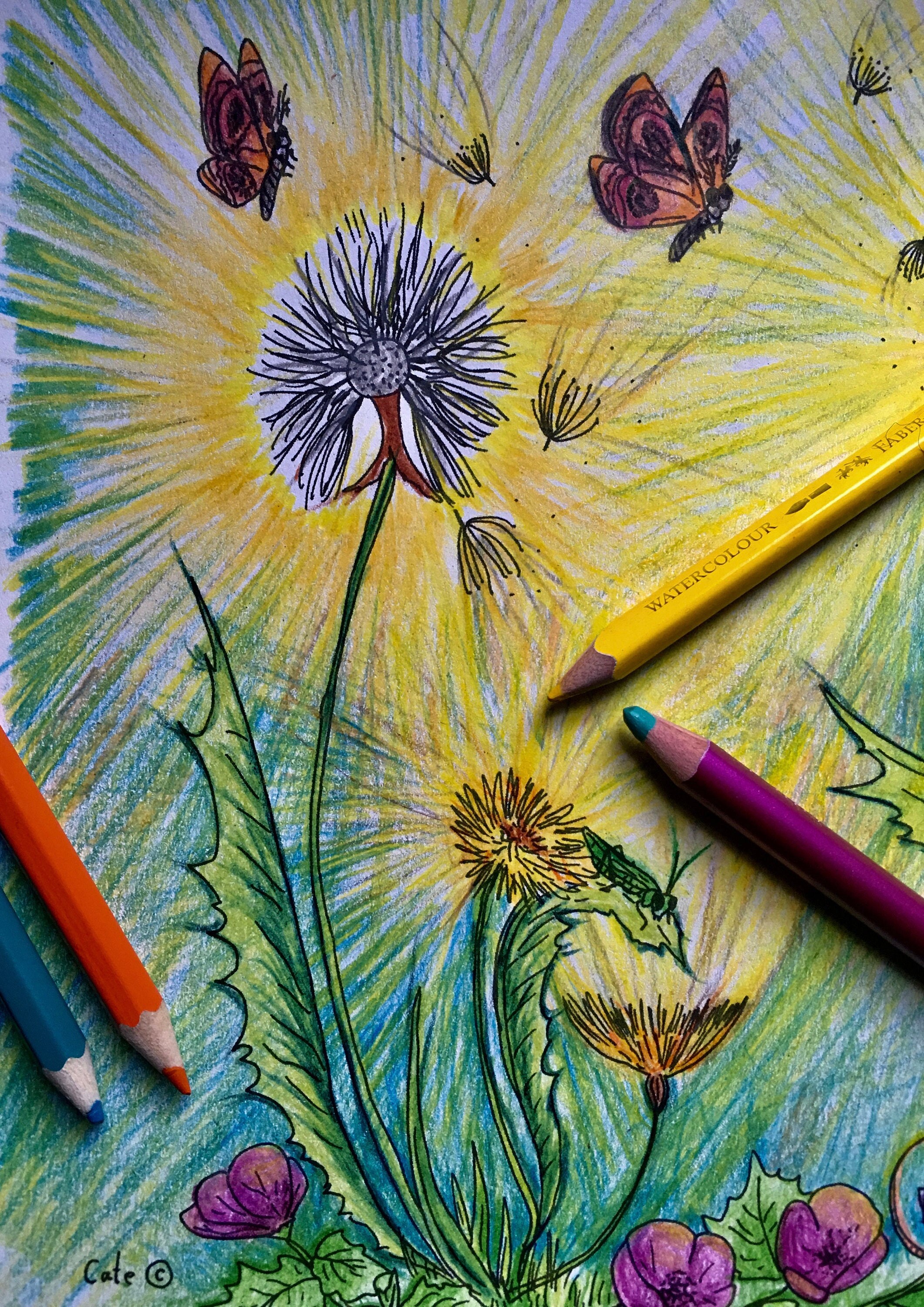 Printable Coloring Page. dandelion Wishes a Unique, Hand Drawn ...