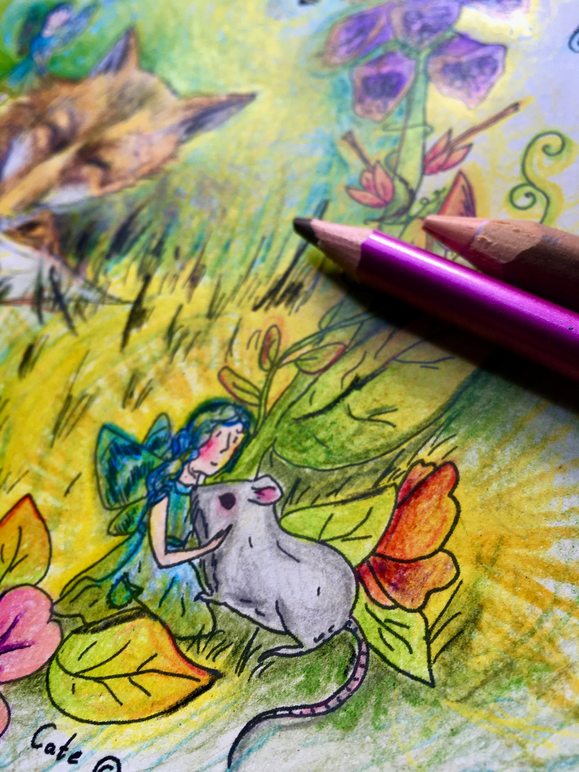 Printable Colouring Page fairies and Fox PDF JPG. Beautiful Hand Drawn ...