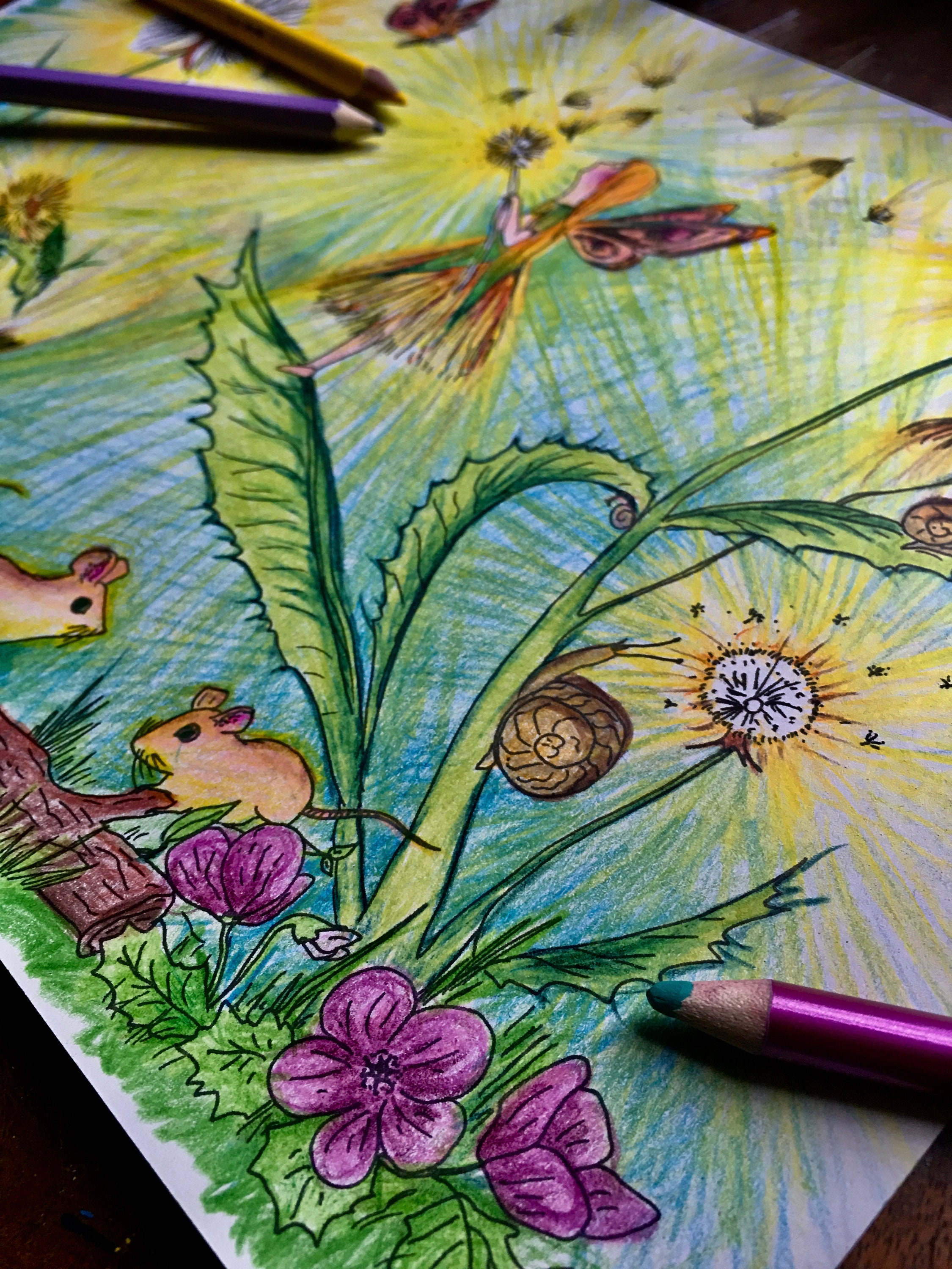 Printable Coloring Page. dandelion Wishes a Unique, Hand Drawn ...