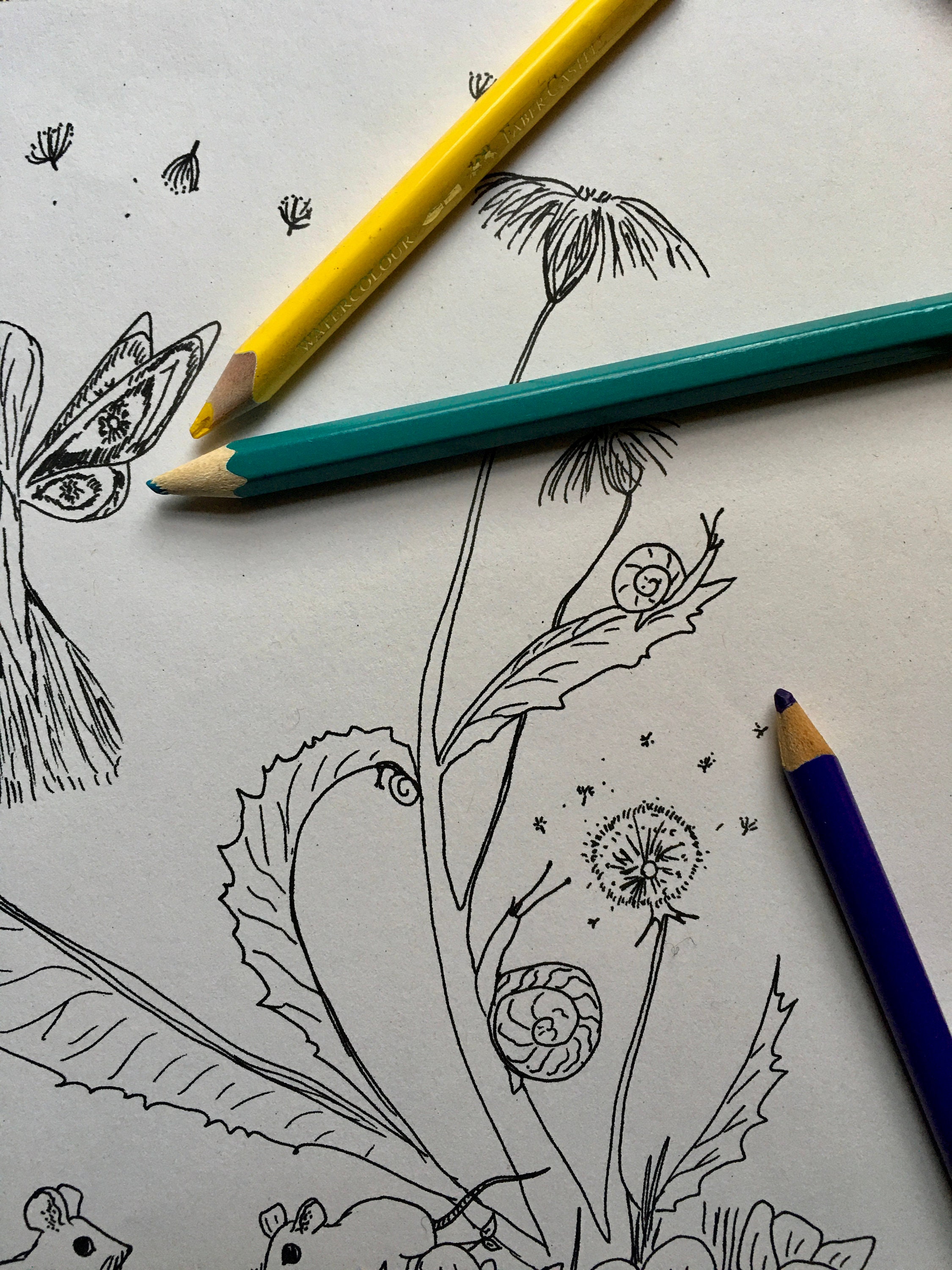 Printable Coloring Page. dandelion Wishes a Unique, Hand Drawn ...