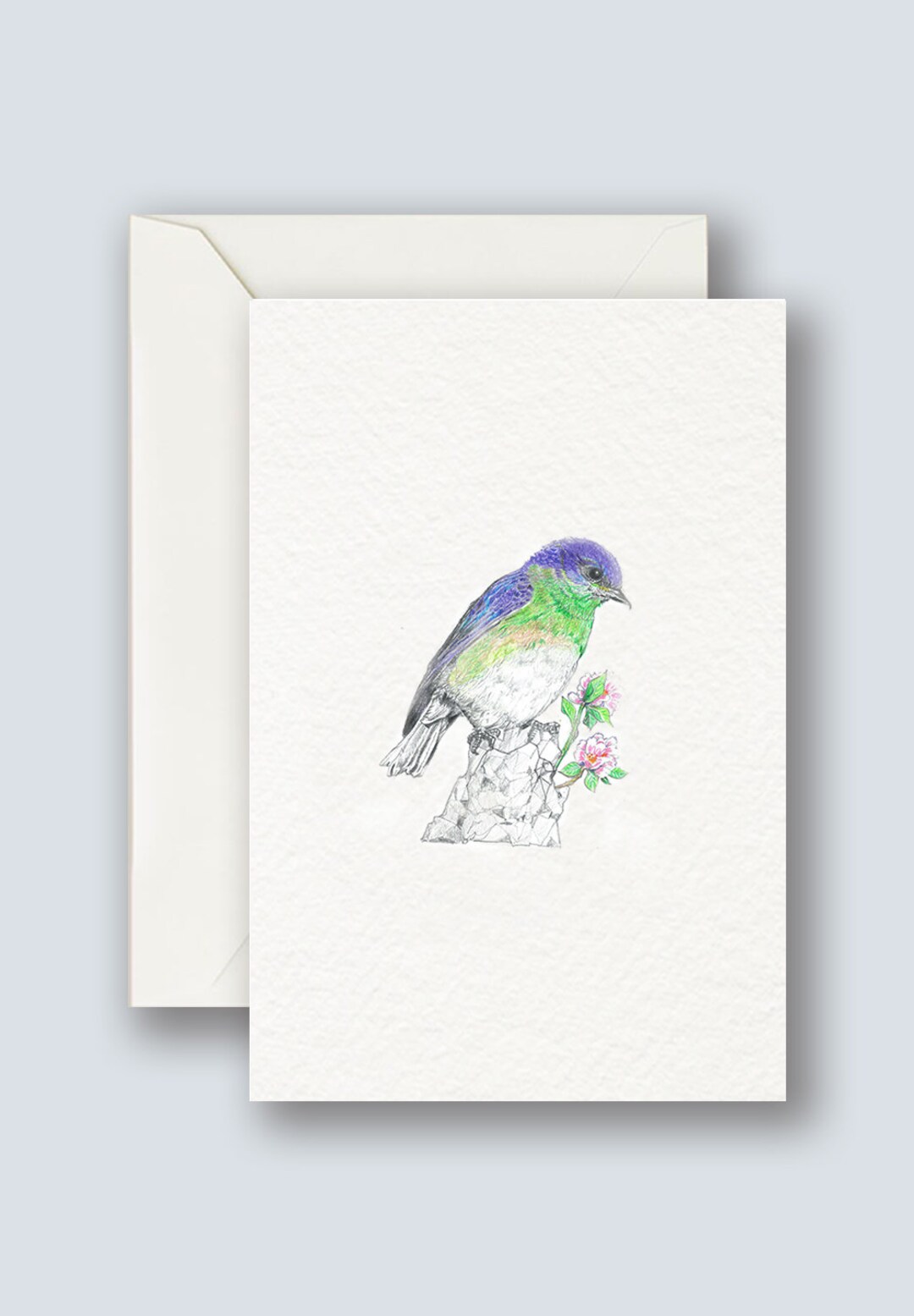Eastern Bluebird | Blue Bird Card | Birding Greeting Cards - Etsy