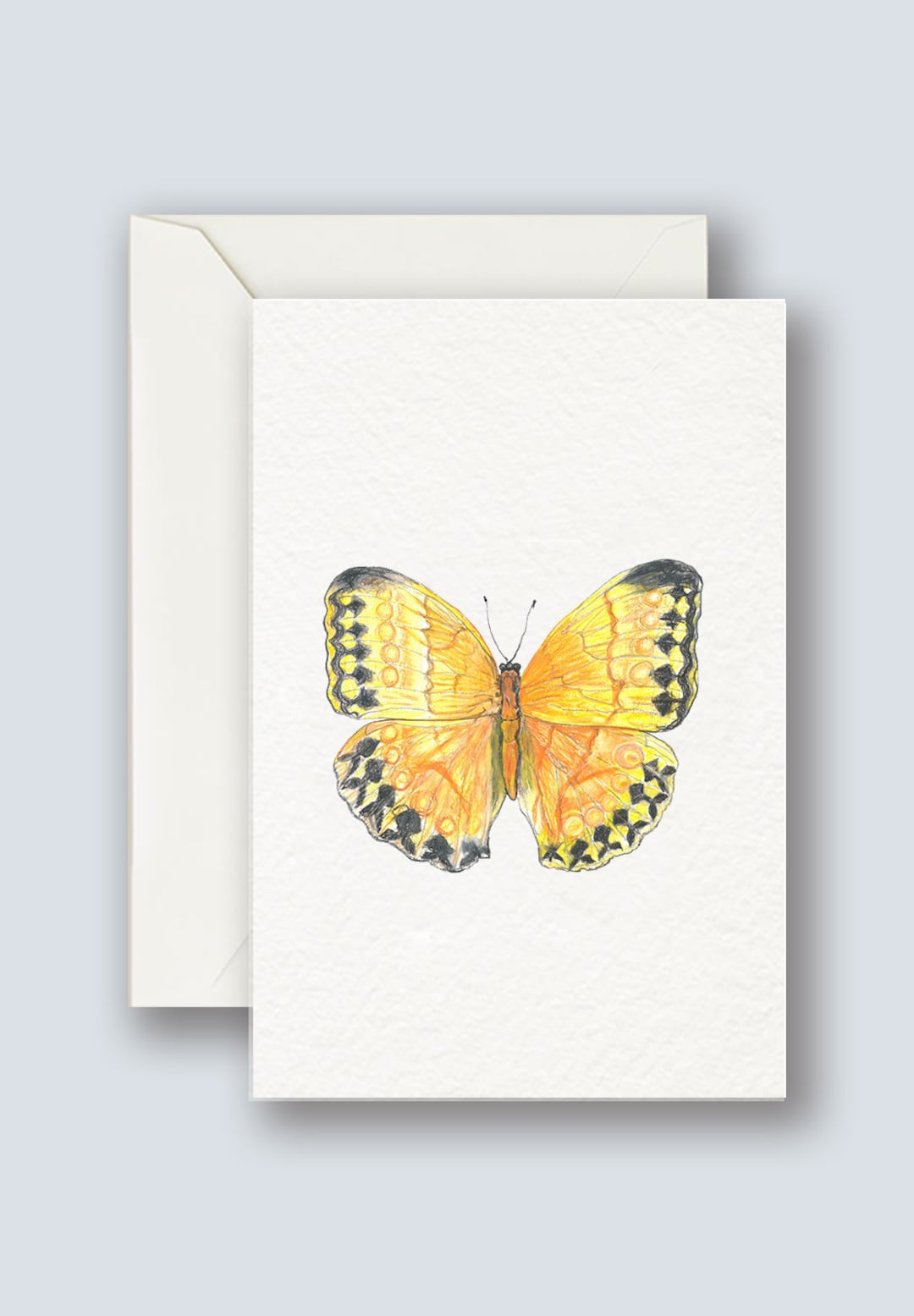 Miragi AR Butterfly Cards | Thinking of You | Get Well | Birthday Cards ...