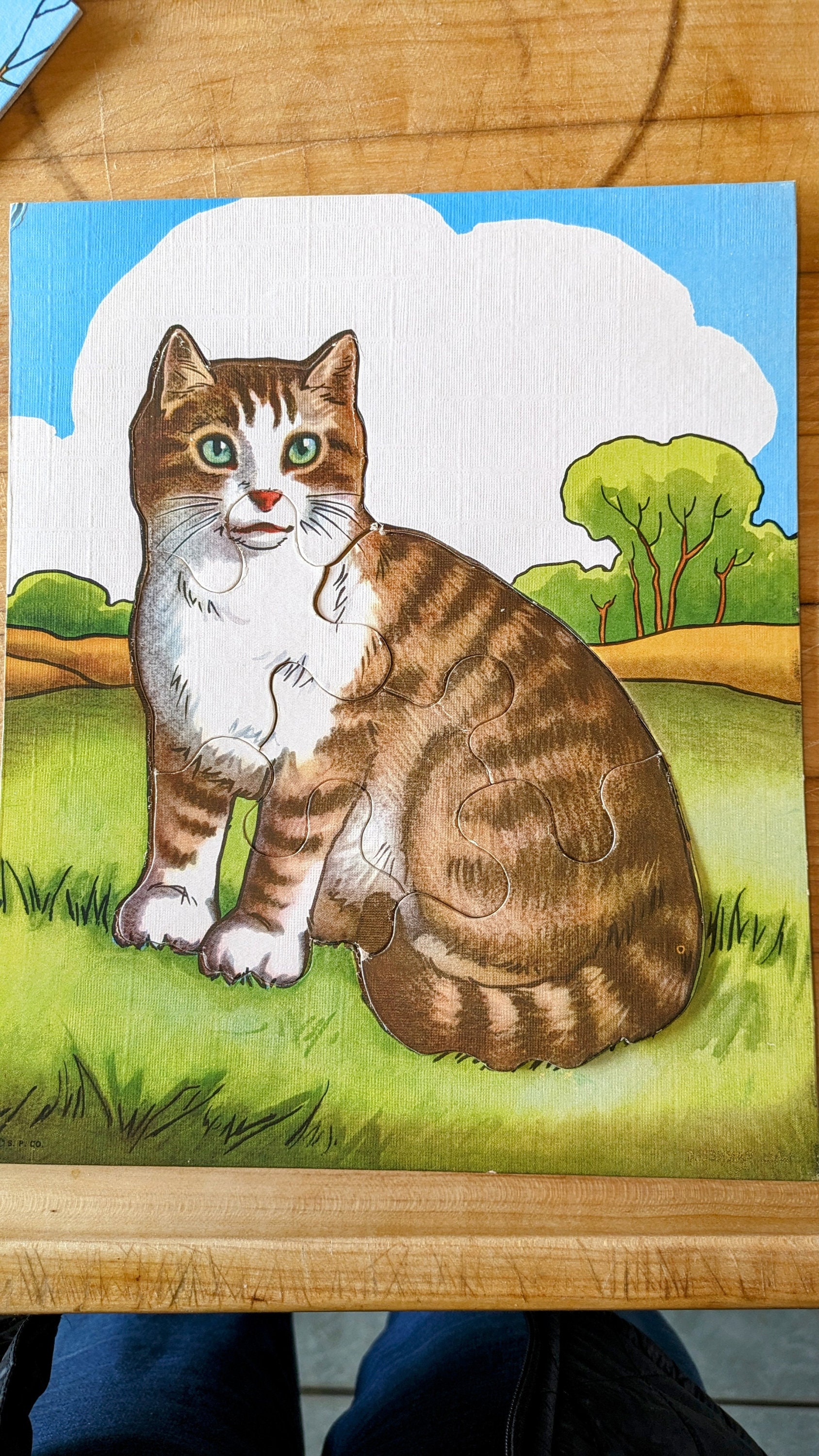 6 Farm Animal Picture Puzzles - 1940s Boxed Set - Etsy