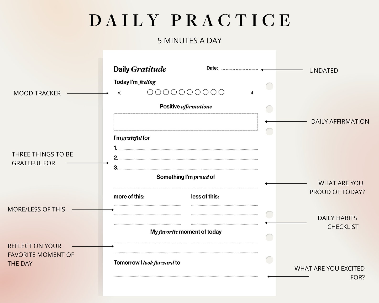 Daily Gratitude Printable Daily Check-in Self-care Mindset Goals Health ...