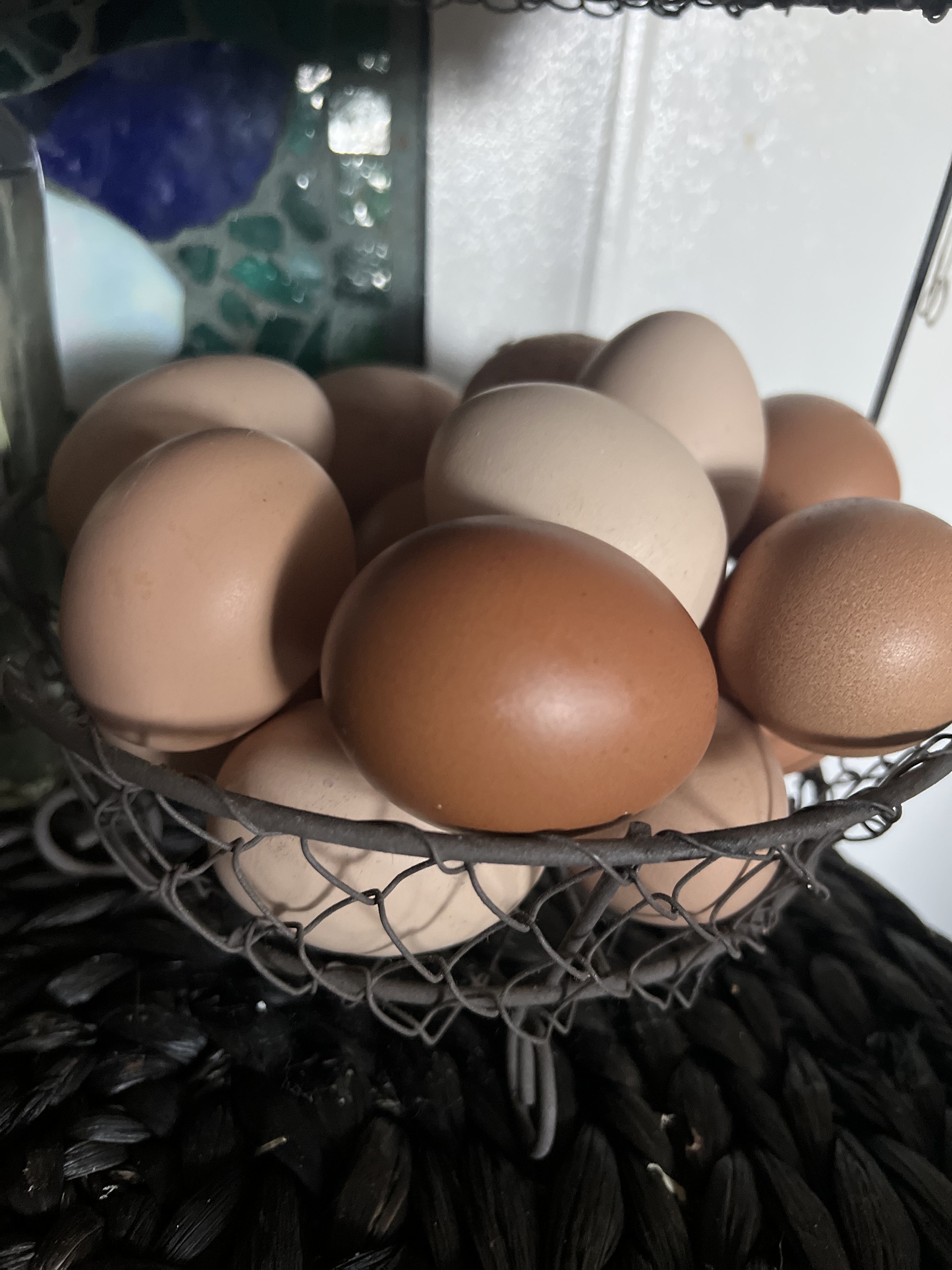 Powdered Egg Shells Cleaned and Dried to Order Multipurpose - Etsy