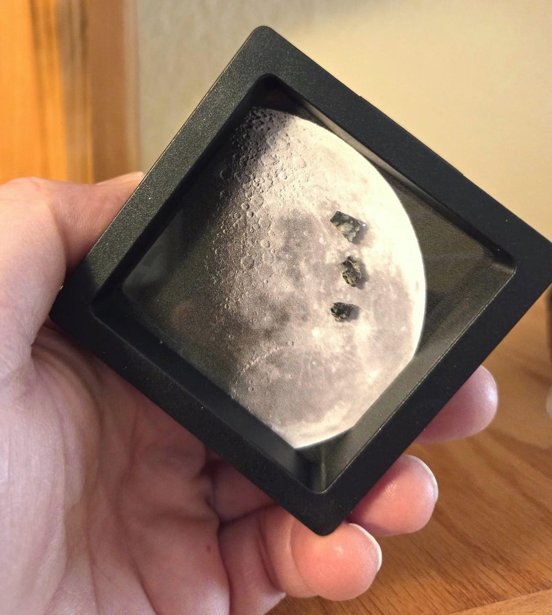 3 Genuine Moon Rocks, XL Lunar Meteorites Interactive Floating Display ...